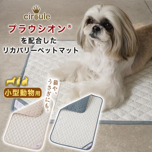 『大切な家族と1秒でも長くいたいから』そんな想いで作られたプラウシオンを配合したリカバリーペットマットです。犬猫はもちろんうさぎや小動物にもご使用いただけます。サイズ 小型動物用サイズ：60×38cmcircule リカバリーマット ブラン...