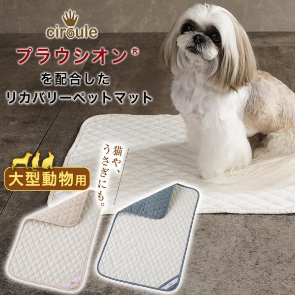 『大切な家族と1秒でも長くいたいから』そんな想いで作られたプラウシオンを配合したリカバリーペットマットです。犬猫はもちろんうさぎや小動物にもご使用いただけます。サイズ 大型動物用サイズ：70×50cmcircule リカバリーマット ブラン...