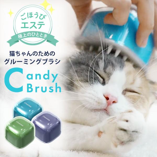[商品名]Candy Brush キャンディブラシ    [色(カラー)]Sea Salt Blue、Taro Purple、Macha Green    [サイズ(約)]W：71mm×D：71mm×H：60mm    [重量(約)]99g...