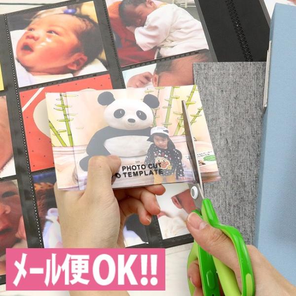 ■本体サイズ：縦89×横89×厚さ2mm■パッケージサイズ：縦93×横96×厚さ2mm■本体材質：PET■パッケージ材質：PP