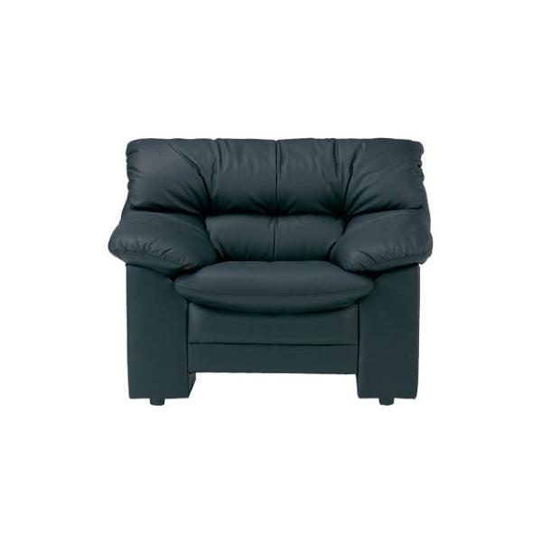 商品番号：LI-L-521ACPコード：155506