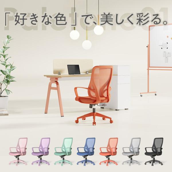 商品番号：OC-CO-PAL1Pコード：501654