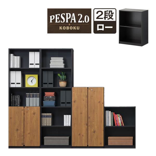 商品番号：PESPA-CB-2TRKBPコード：272161