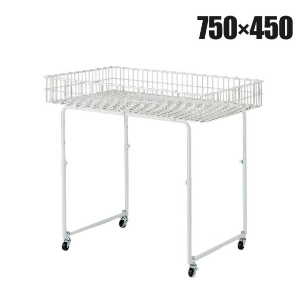 商品番号：TNK-0221Pコード：513866