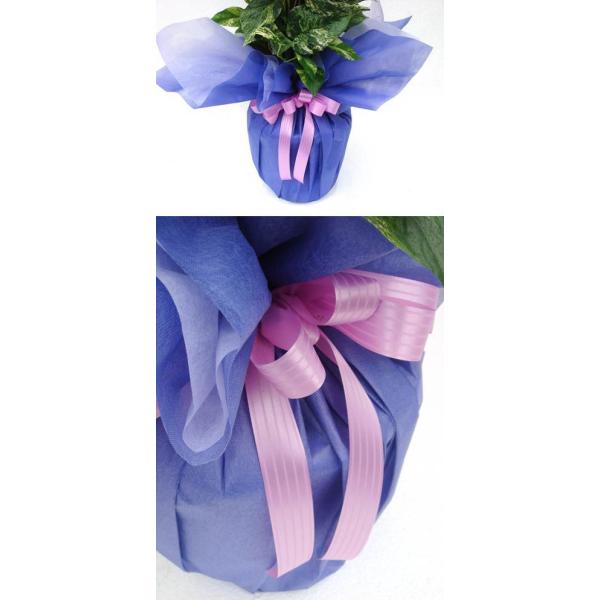 キーワード：フェイクグリーン 人工観葉植物 開店祝い 移転祝い 新築祝い 脱臭 抗菌商品情報・商品名：ラッピングＬ（Ａタイプ）・素材：薄紙2枚使い + リボン※単体での購入はできません