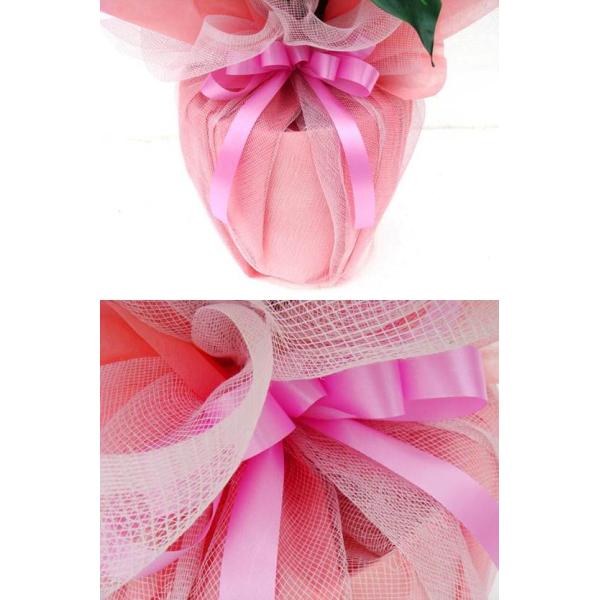 キーワード：フェイクグリーン 人工観葉植物 開店祝い 移転祝い 新築祝い 脱臭 抗菌商品情報・商品名：ラッピングＬ（Ｂタイプ）・素材：薄紙1枚使い + メッシュ + リボン※単体での購入はできません