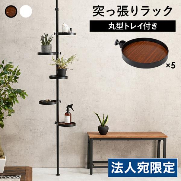 オシャレなディスプレイや小物収納に。突っ張りタイプなので賃貸でも使えるポールラック。購入単位：1台配送種別：直送品 代引不可 返品不可 配送日時指定不可Yahoo 通販 4934257296755 JH0492 萩原 突っ張り棒＆パーツ 6...
