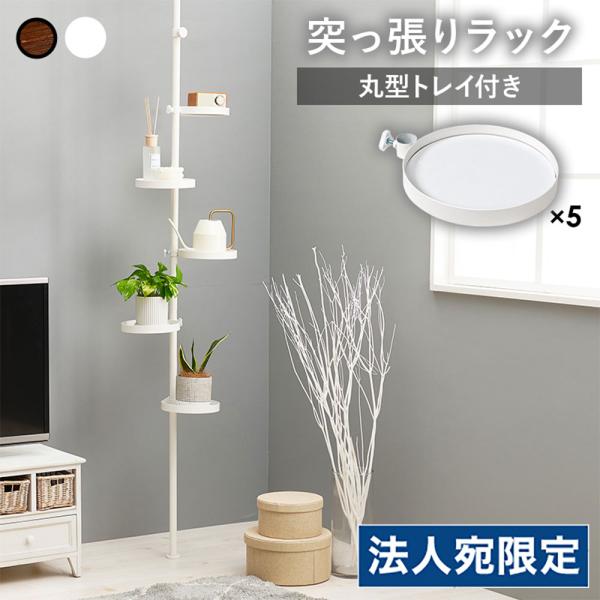 オシャレなディスプレイや小物収納に。突っ張りタイプなので賃貸でも使えるポールラック。購入単位：1台配送種別：直送品 代引不可 返品不可 配送日時指定不可Yahoo 通販 4934257296762 JH0493 萩原 突っ張り棒＆パーツ 6...