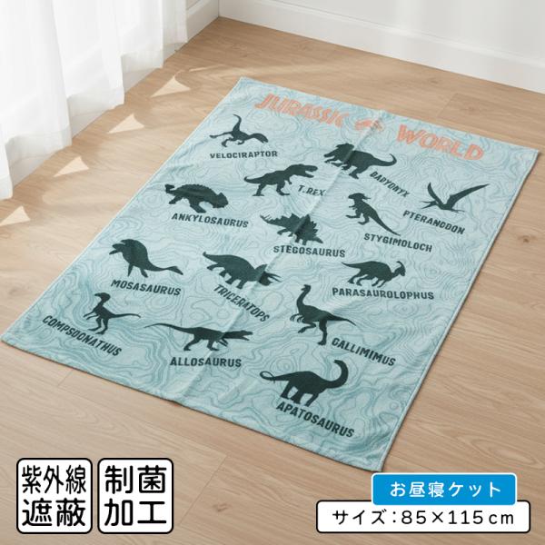 ●商品説明キャラクター タオルケット お昼寝ケット・キャラクター　ジュラシックワールド ジュラシックパーク 恐竜 ティラノザウルス プテラノドン ティーレックス アンキロサウルス ステゴサウルス トリケラトプス・サイズ　85×115cm（ハ...