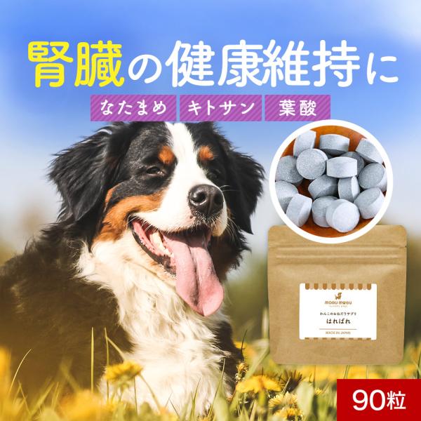 腎臓の健康維持に！わんこのおねだりサプリ はればれ■内容量 25.2ｇ（280mg×90粒)■原産国名 日本■原材料 白ナタ豆末（国内製造）、チキンパウダー（チキンエキス、デキストリン、食塩）（鶏肉を含む）、ペポカボチャ種子乾燥エキス末（ペ...