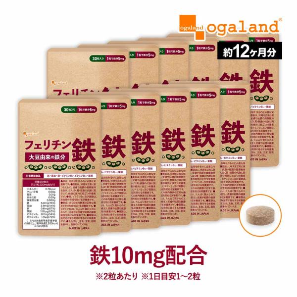 フェリチン鉄 貯蔵 鉄新発売 栄養機能食品 貯蔵鉄 銅 負担 吸収