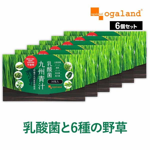 【関連キーワード】青汁 乳酸菌 サプリメント 九州産 国産 サプリ スッキリ FK-23乳酸菌 野菜不足 食物繊維 ダイエット 健康 美容 善玉菌 粉末 おいしい スティック 個包装 ゴーヤ 緑茶 明日葉 桑の葉 男性 女性 40代 50代...