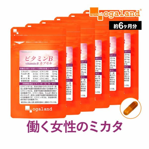 ビタミン b12 b1 b2  b6 栄養機能食品 ポイント利用 爆買