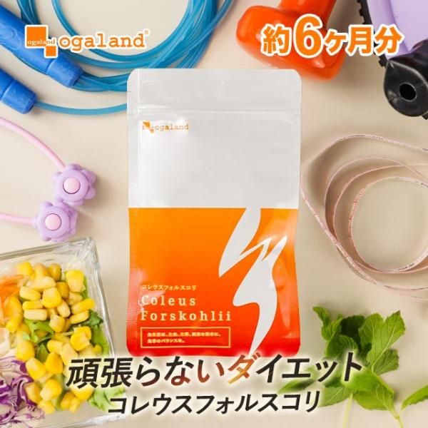 ダイエット サプリ コレウスフォルスコリ イヌリン ポイント利用