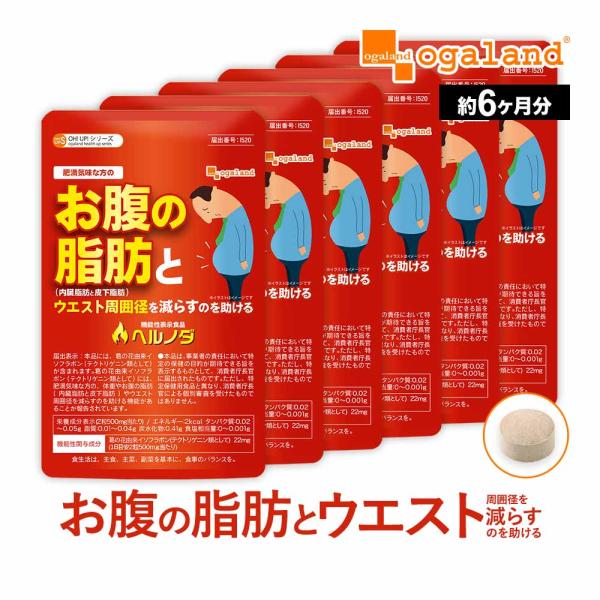 肥満気味な方のお腹の脂肪とウエスト周囲径 ポイント利用 爆買