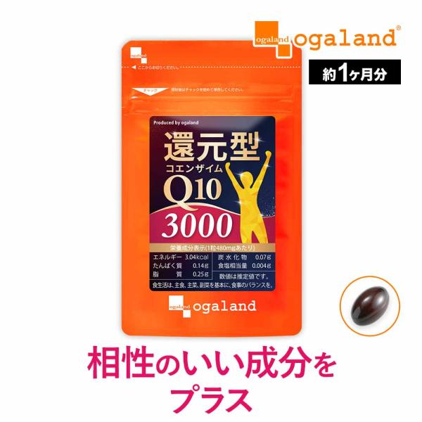 還元型 コエンザイムQ10 亜鉛 ビタミン ポイント利用 ポイント消化 爆買