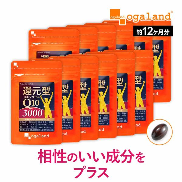 還元型 コエンザイムQ10 亜鉛 ビタミン ポイント利用 ポイント消化 爆買