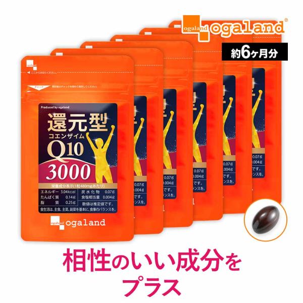 還元型 コエンザイムQ10 亜鉛 ビタミン ポイント利用 ポイント消化 爆買