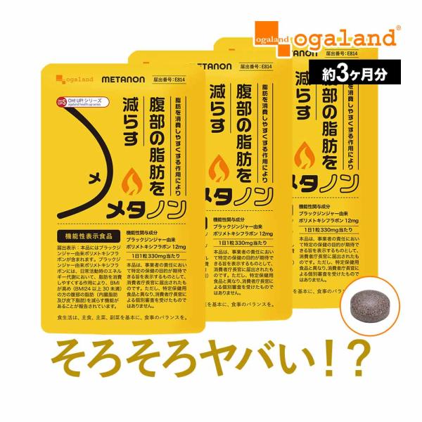 BMI サプリ ダイエット サプリメント ジンジャー ポイント利用