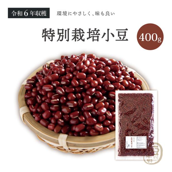 <配送に関する注意事項>●配送方法は基本メール便となりますが、複数ご注文の場合は盗難や破損防止のため宅配便での配送に切り替えさせて頂く場合が御座います（切り替えの有無は地域やご注文内容により店舗にて判断させて頂いております）。●...