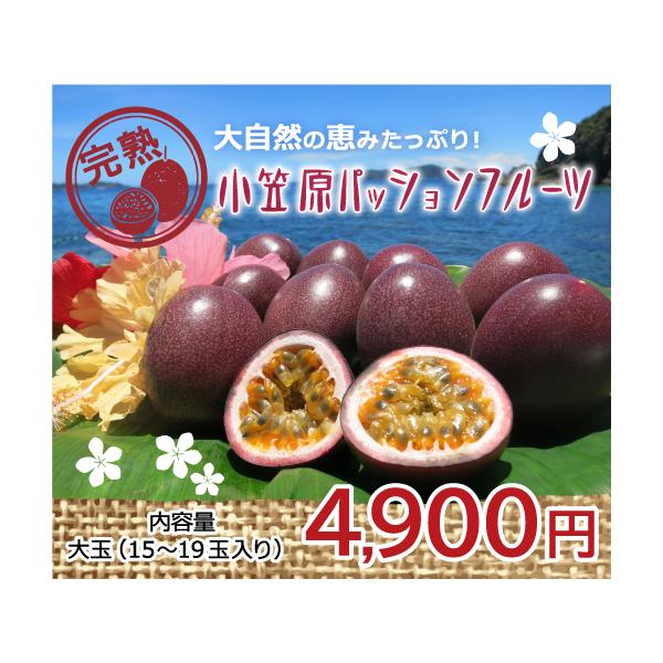 【２０２６年シーズン分の販売開始しました！】おいしい！甘い！小笠原パッションフルーツの想像以上の甘みにびっくり！産地：小笠原諸島入数：15〜19個（大玉）保存方法：到着後は直射日光や高温多湿の場所を避け、常温にて保存してください。生ものです...