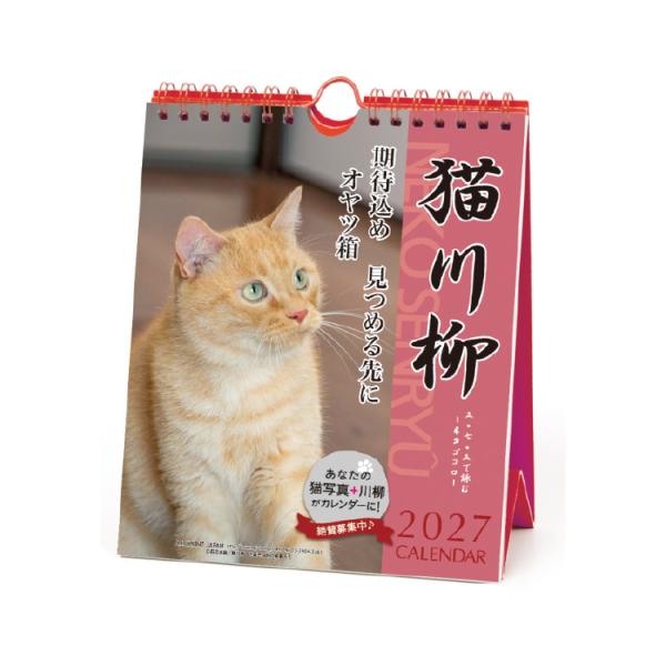 【発売日：2025年09月01日】
