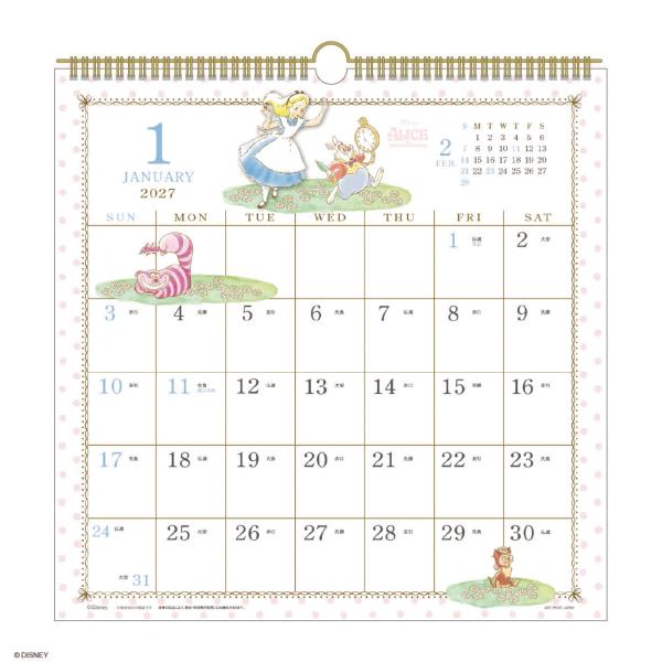 【発売日：2025年09月01日】