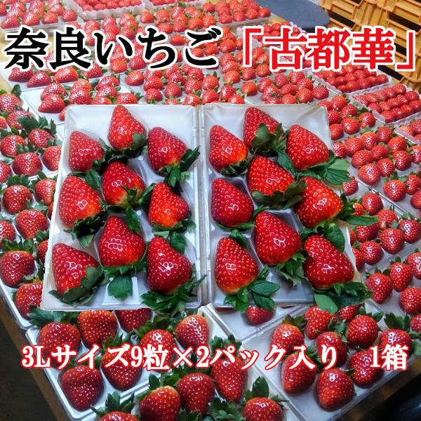【発売日：2021年01月06日】奈良県生まれの希少なイチゴ「古都華」糖度と酸度が高い濃厚な味わいをお楽しみください。3Lサイズ9粒×2パック入り　1箱