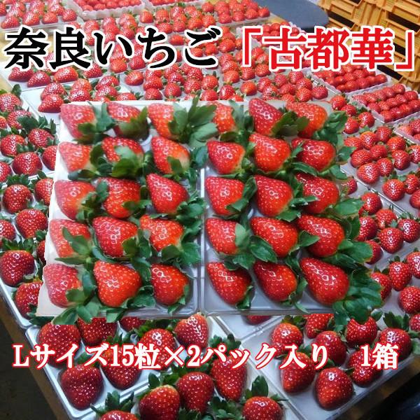 【発売日：2021年11月21日】奈良県生まれの希少なイチゴ「古都華」糖度と酸度が高い濃厚な味わいをお楽しみください。奈良いちご「古都華」Lサイズ15粒×2パック入り　1箱