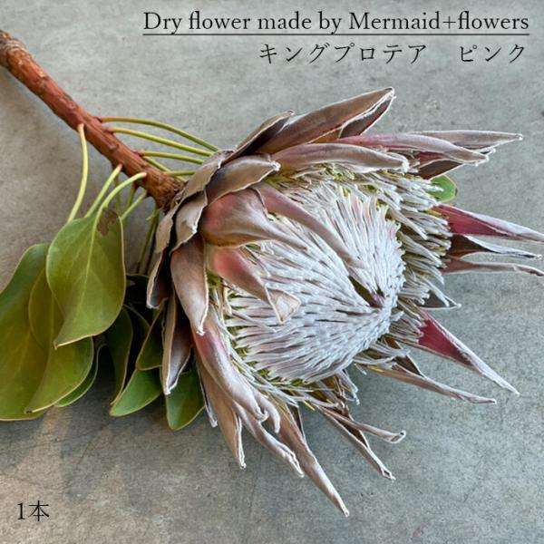 ohanakakumei_dryflower-kingpp1 ohanakakumei_dryflower-kingpp1