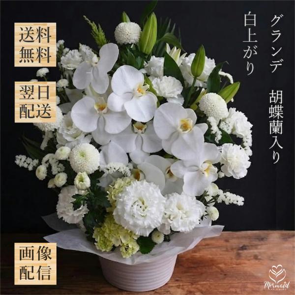 爆買 お盆 彼岸 初盆 納骨式　弔花 供花 献花 墓参り 仏壇 仏花お盆 お供え 御供 お悔やみ お返し 一周忌 三回忌 七回忌 十三回忌 年忌法要 初七日 四十九日 49日 百か日 お彼岸 盆花 お盆 初盆 法事 法要 仏事 枕花 命日 ...