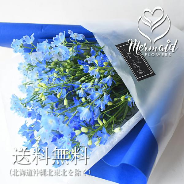爆買 デルフィニウムの花束青 ブルー 卒業 送別 退職 卒園 ホワイトデー バースデー 新築祝い 周年祝い 周年記念 フラワーギフト 贈り物 還暦 古希 喜寿 米寿 傘寿 祝い お供え ペット 10代 20代 30代 40代 50代 60代...