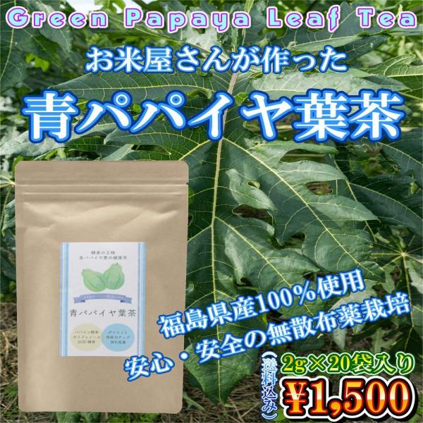 ●自社ハウス・農薬不使用で育てたパパイヤの葉を乾燥させ焙煎したパパイヤ葉茶です●ティーパックタイプですのでお手軽・簡単にお飲みいただけます。●無農薬栽培・有機肥料で栽培した健康茶です。●栽培〜洗浄〜乾燥〜焙煎まで「おいしさ」と「安心」にこだ...