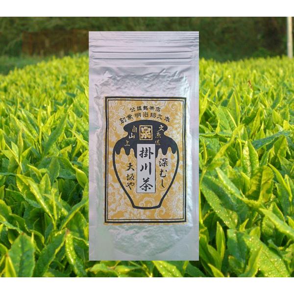 掛川　深蒸し茶　100g  静岡茶 掛川茶　緑茶　煎茶　ポイント消化　ワンコイン　送料無料　カテキン　インフルエンザ予防静岡掛川深蒸し茶100ｇ１本用途、ご自宅用。食後に、三時に、休憩に、急須でサッと出て味こく、まろやか、掛川深蒸し茶。大坂...