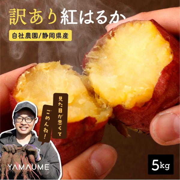 【原材料名】静岡県産 紅はるか【アレルギー表示】なし【賞味期限】出荷後30日【ご注意】虫食いやキズ、皮むけ、大小のばらつきといった見た目に訳ありの商品となります。訳ありなのは見た目のみですので、皮を剥く、キズのある箇所を取り除くなどの処理を...