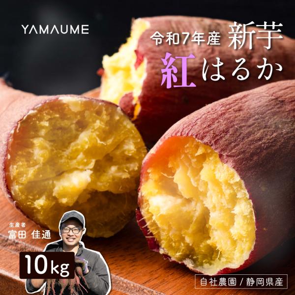 【原材料名】静岡県産 紅はるか【アレルギー表示】なし【賞味期限】出荷後30日【ご注意】自然の物になりますので、稀に割れ・欠けが存在します。品質や味には問題ございませんので、安心してお召し上がりください。【さつまいもの保存方法】さつまいもは水...