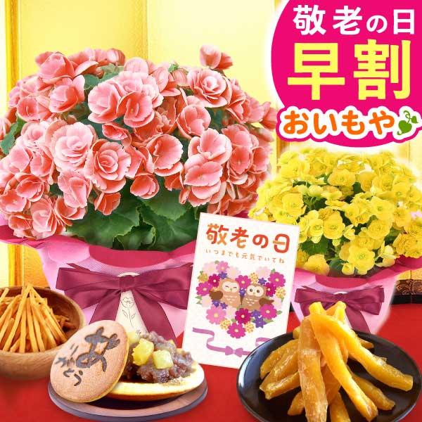 【発売日：2026年09月17日】【おすすめ用途】　敬老の日 敬老の日プレゼント 敬老の日ギフト 2026 プレゼント ギフト gift 贈り物 贈答 長寿祝い 還暦 古希 喜寿 傘寿 米寿 卒寿 白寿 百寿 紀寿 敬老会 記念品 自治会 ...