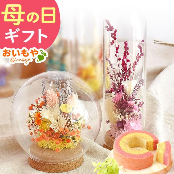 【おすすめ用途】 母の日 2026 母の日ギフト 母の日プレゼント mothersday ギフト プレゼント gift 贈り物 ははのひ母の日 花 ははのひ【贈る相手】 女性 母 お母さん 義母 妻 祖母 継母 おばあちゃん 義実家 40代...