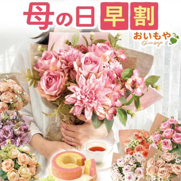 【おすすめ用途】 母の日 2026 母の日ギフト 母の日プレゼント mothersday ギフト プレゼント 贈り物 ははのひ母の日 花 ははのひ【贈る相手】 女性 母 お母さん 義母 妻 祖母 継母 おばあちゃん 義実家 40代 50代 ...