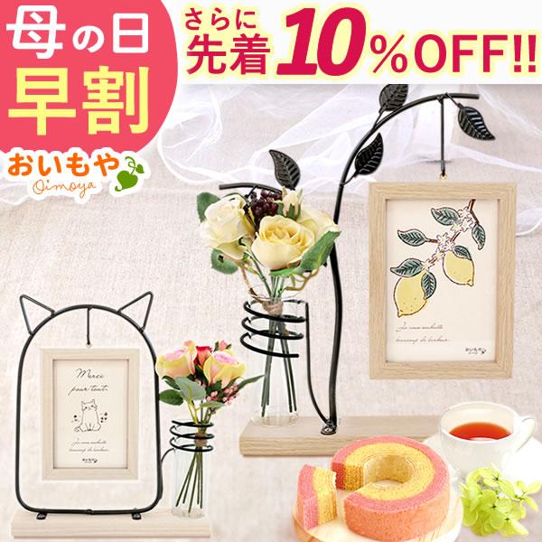 【おすすめ用途】 母の日 2026 母の日ギフト 母の日プレゼント mothersday ギフト プレゼント gift 贈り物 ははのひ母の日 花 ははのひ【贈る相手】 女性 母 お母さん 義母 妻 祖母 継母 おばあちゃん 義実家 40代...