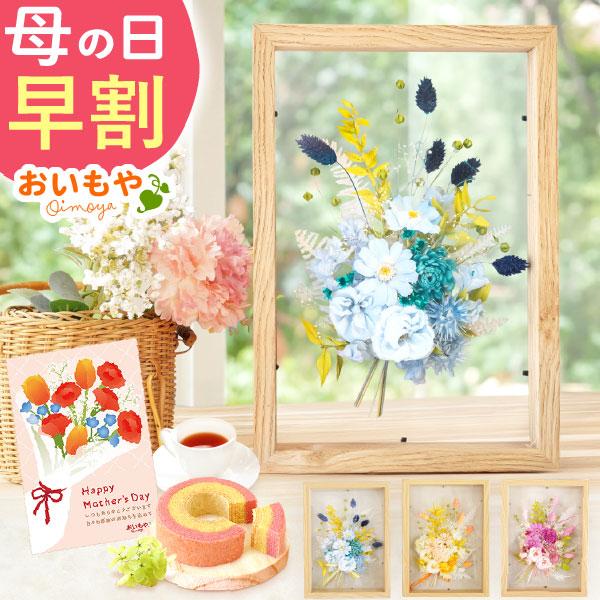 【おすすめ用途】 母の日 2026 母の日ギフト 母の日プレゼント mothersday ギフト プレゼント gift 贈り物 ははのひ母の日 花 ははのひ【贈る相手】 女性 母 お母さん 義母 妻 祖母 継母 おばあちゃん 義実家 40代...