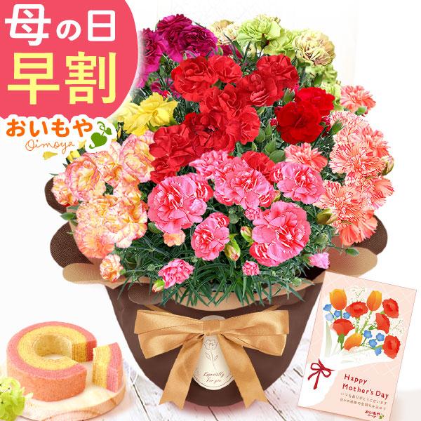 母の日 プレゼント 花 ギフト 母の日プレゼント スイーツ 2026 mothersday カーネーション 鉢植え お菓子 食べ物 フラワー 花鉢【おすすめ用途】母の日 母の日ギフト 2026 母の日プレゼント 贈り物 mothersday...