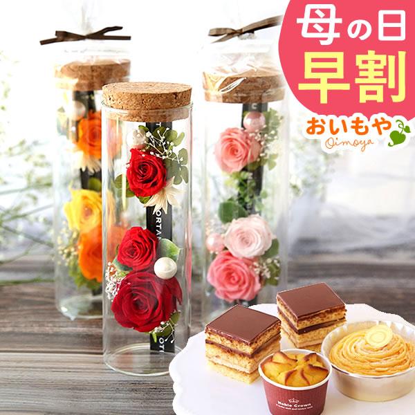 【おすすめ用途】母の日 2026 母の日ギフト 母の日プレゼント mothersday ギフト プレゼント gift 贈り物 【贈る相手】女性 母 お母さん 義母 妻 祖母 継母 おばあちゃん 義実家 40代 50代 60代 70代 80代...