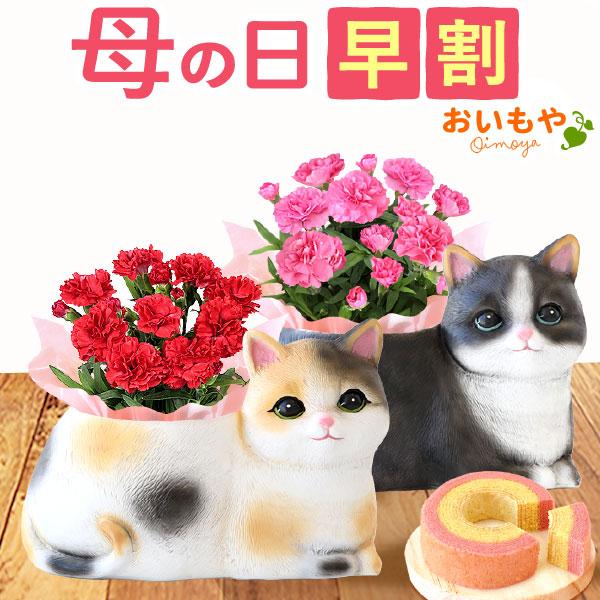 【おすすめ用途】母の日 母の日ギフト 2026 母の日プレゼント 贈り物 mothersday 母の日プレゼント スイーツ カーネーション 鉢植え お菓子 食べ物 フラワー 花鉢 花 ギフト 和菓子 洋菓子【贈る相手】 女性 お母さん 母 ...