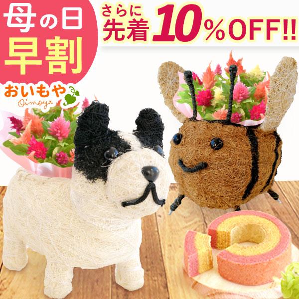 【おすすめ用途】 母の日 母の日ギフト 2026 母の日プレゼント 贈り物 スイーツ カーネーション以外 鉢植え お菓子 食べ物 フラワー 花鉢 花 ギフト 和菓子 洋菓子 ははのひ母の日 花 ははのひ【贈る相手】 女性 お母さん 母 妻 ...