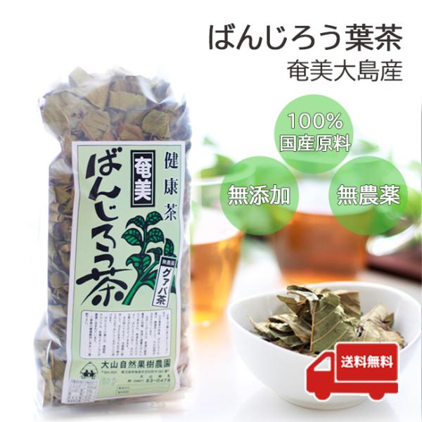 ◆薬草大国・奄美大島の自然の恵み！無添加・無農薬「ばんじろう茶」◆◇ お届け内容　奄美大山自然果樹農園 【ばんじろう茶】 茶葉 100g ×1袋ばんじろう(グアバ)茶は、糖尿病改善・ダイエット・美肌作り・下痢などに効果があるとされる健康茶。...