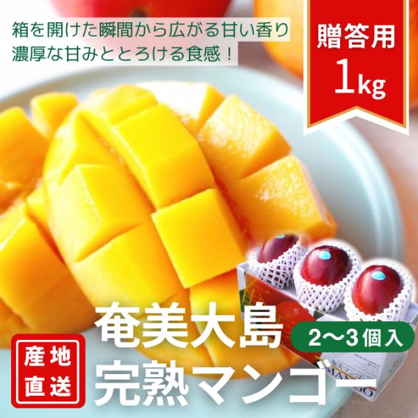 ◆◆南国・奄美の太陽が育てた、極上のひと玉を大切な方へ◆◆日本有数のマンゴー産地・奄美大島。この地の豊かな自然と温暖な気候に育まれた高品質の完熟アップルマンゴーを、丁寧に選別し、贈答用としてお届けします。◇ 贈答基準にこだわった“特別なマン...