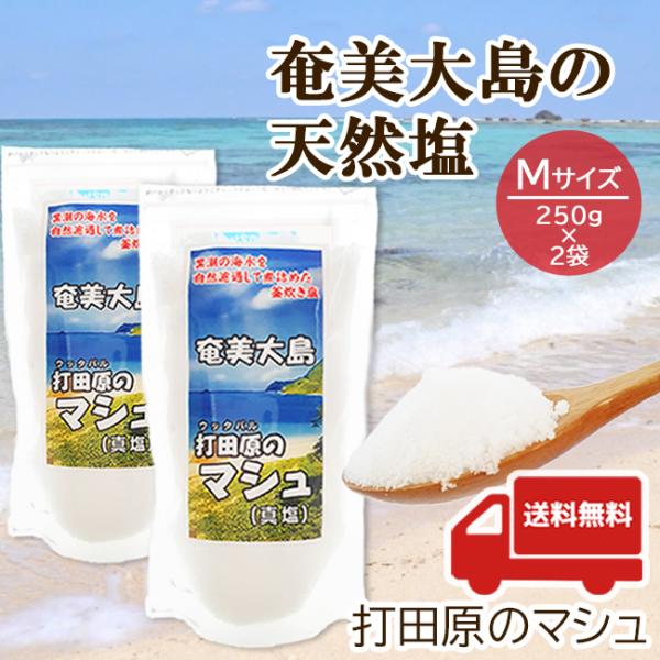 ◆◆奄美大島 自然の恵み！ 黒潮の海水を煮詰めた貴重な天然塩◆◆◇お届け内容　【打田原のマシュ(真塩)】　250g × 2袋◇配送方法　レターパック(送料無料)にて発送いたします。　お届け日時の指定はできません。◇原材料　海水(奄美市笠利町...