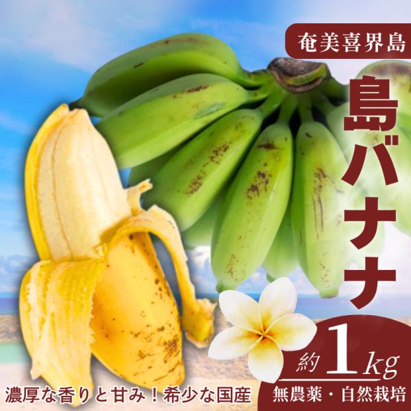 ◆◆驚くほど濃厚な甘みと香りを楽しめる、まさに“幻の国産バナナ”◆◆喜界島の太陽と潮風に育まれた「小笠原種島バナナ」。市販のバナナより小ぶりながら、驚くほど濃厚な甘みと香りを楽しめる、まさに“幻の国産バナナ”です。〇無農薬・自然栽培　喜界島...