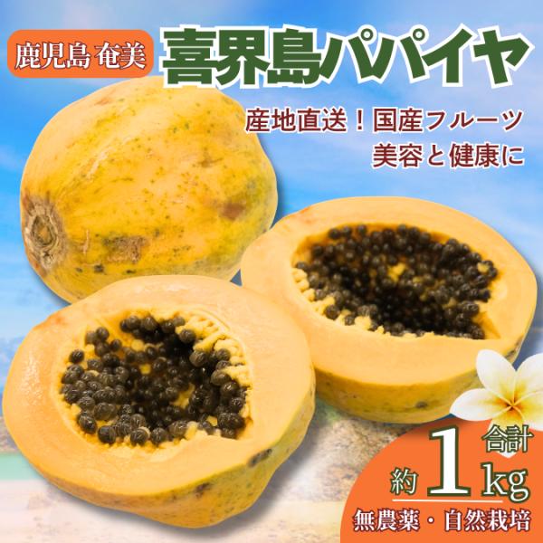 ◆◆切るだけ！頑張らない健康習慣。喜界島の無農薬フルーツパパイヤ◆◆健康食材として人気の青パパイヤ。でも、調理の手間が少し大変…。このフルーツパパイヤは、カットするだけでそのまま食べられる手軽さが魅力です！鹿児島県・喜界島の自然の中で、農薬...